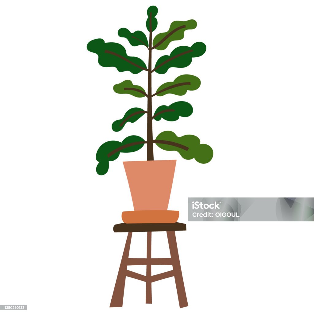 House Plant Design Vector Illustration Stock Illustration Download