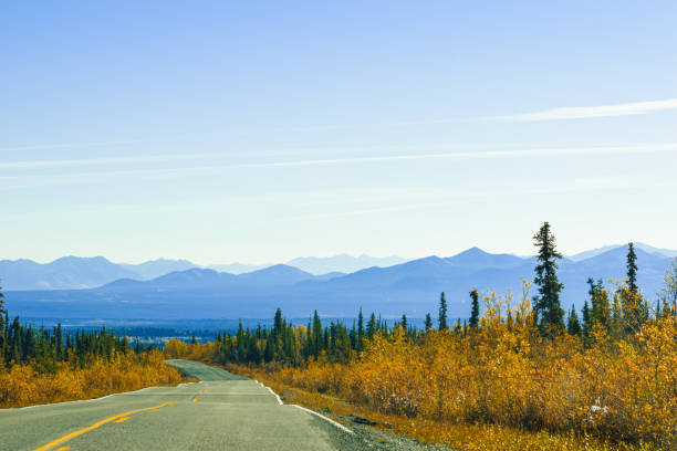 Bumpy Road Pictures | Download Free Images on Unsplash