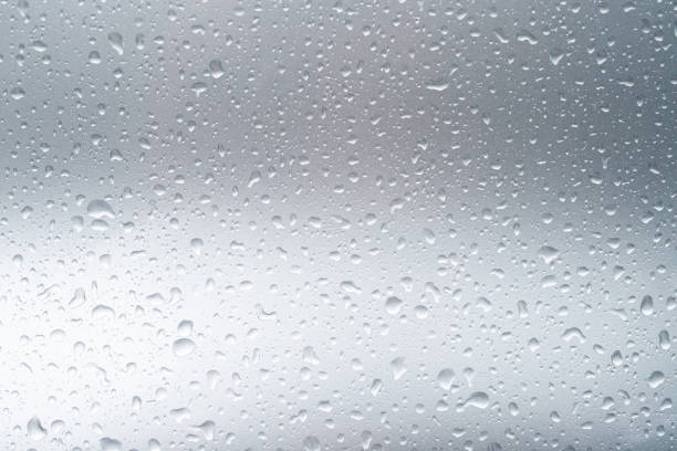Water Proof Pictures | Download Free Images on Unsplash