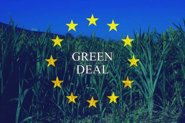 Green Deal Pictures | Download Free Images on Unsplash