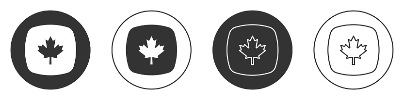 Icône Noire De La Feuille Dérable Canadienne Isolée Sur Fond Blanc