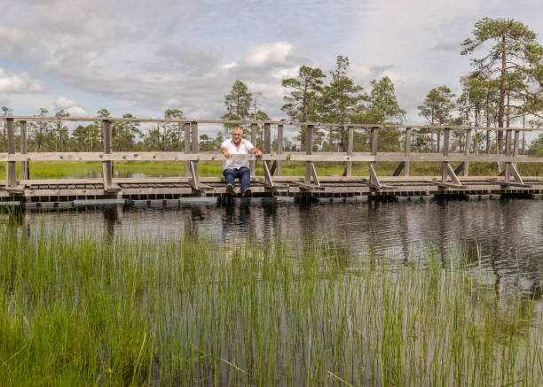 Free picture: White wading bird on wooden pier in swamp