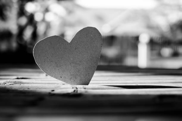 Hert Pictures | Download Free Images on Unsplash