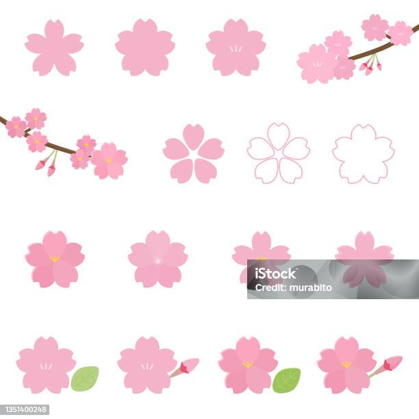 Set Ilustrasi Bunga Sakura Yang Sederhana Dan Lucu Ilustrasi Stok