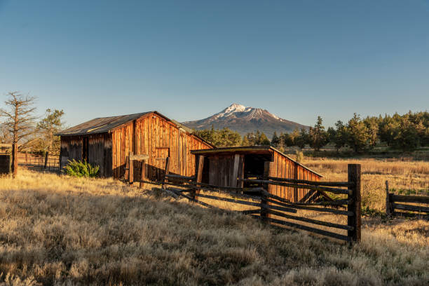 Mount Shasta Pictures | Download Free Images on Unsplash