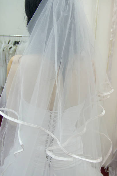Free Stock Photo of Woman in Wedding Dress Holding Veil Over Head ...