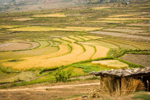 Plots Of Land Pictures | Download Free Images on Unsplash
