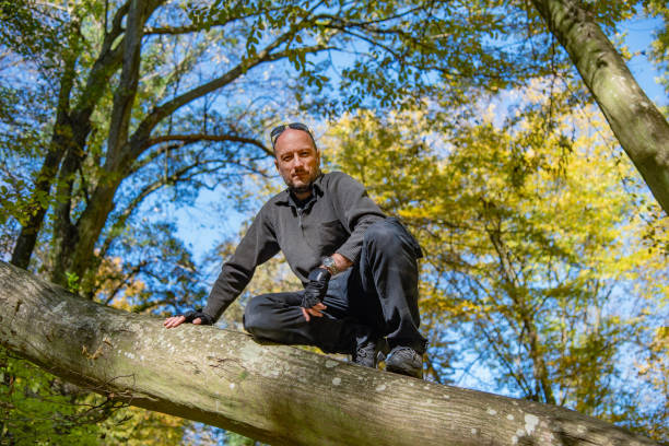 Free Stock Photo of Man Standing on Top of Tree Near Tall Tree ...