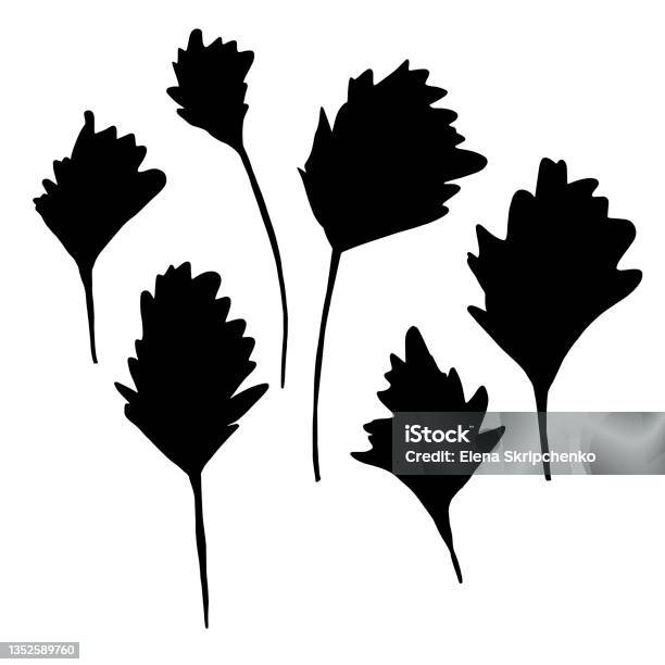 Set Of Hand Drawn Leaves Doodle Illustration Vector Stock Illustration
