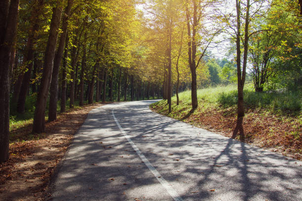 Bike Path Pictures | Download Free Images on Unsplash