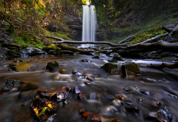 1K+ Waterfall In The Forest Pictures | Download Free Images on Unsplash