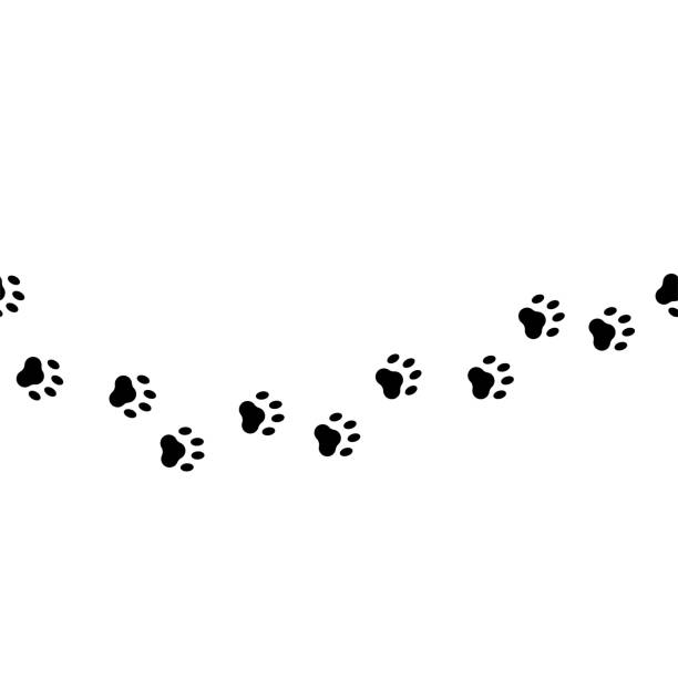 60 Sanicle Patte Dours Illustrations Graphiques Vectoriels Libre De