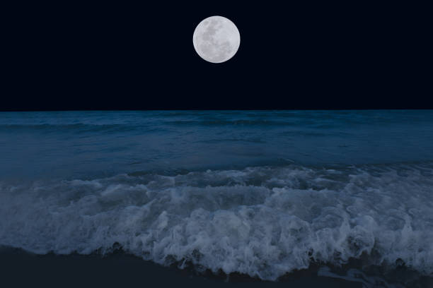 1000+ Full Moon Ocean Pictures | Download Free Images on Unsplash