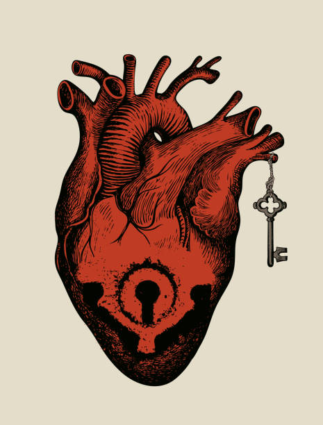 Anatomical Heart Art Love