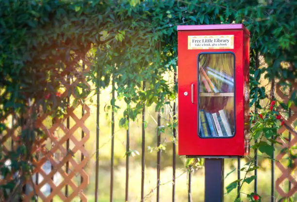 Imagens De Livros Gratuitos Baixe Imagens Gratuitas Na Unsplash