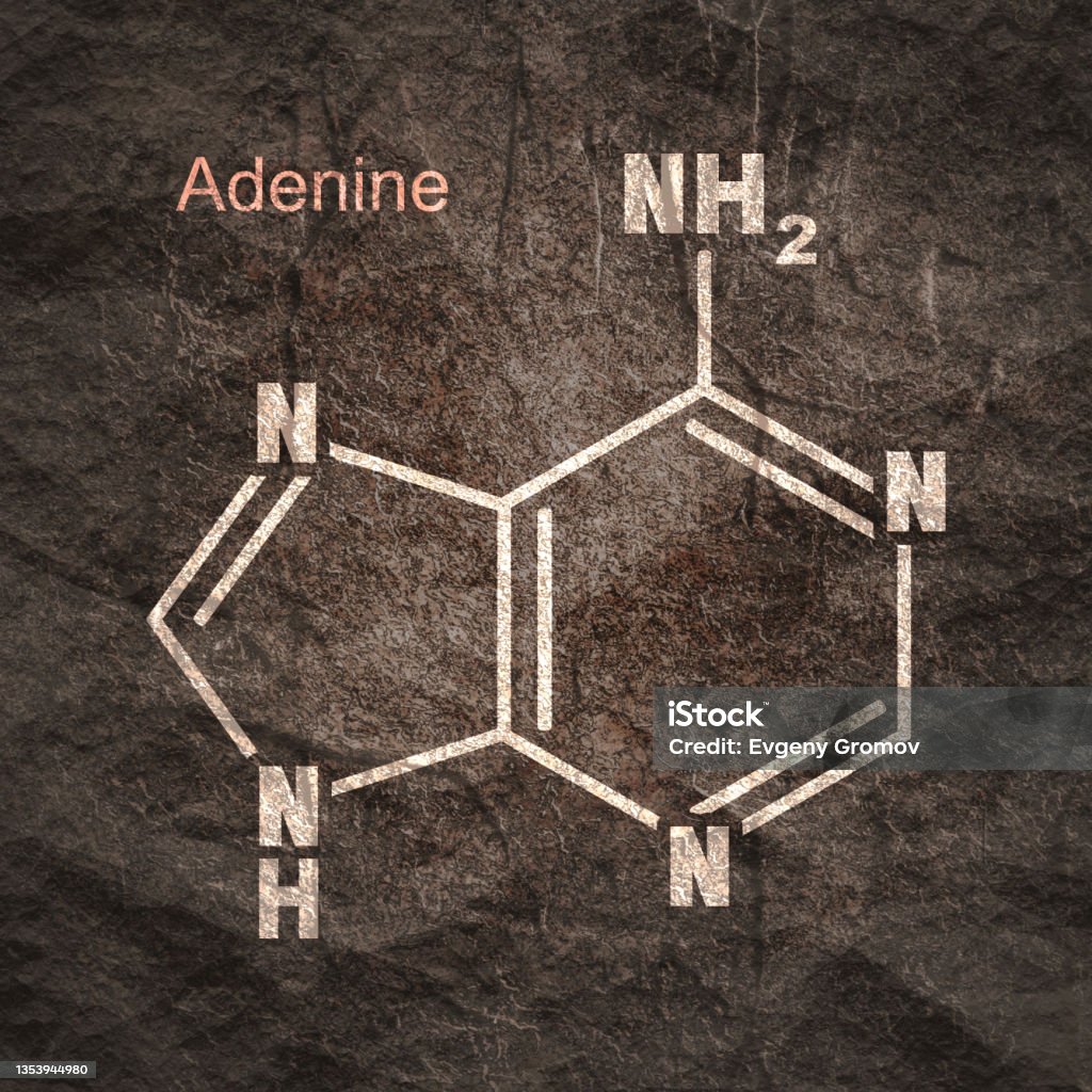 Chemical Structural Formula Of Adenine Dna And Rna Nitrogen Base Stock ... Chemical Structural Formula Of Adenine Dna And Rna Nitrogen Base Stock ...
