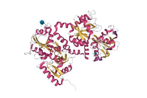 Protein Molecule Pictures | Download Free Images on Unsplash