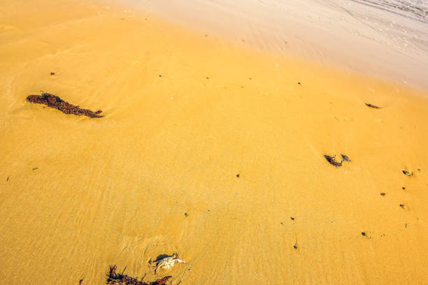 Free picture: Yellowish brown dirty dry sand on breach with shadow close-up