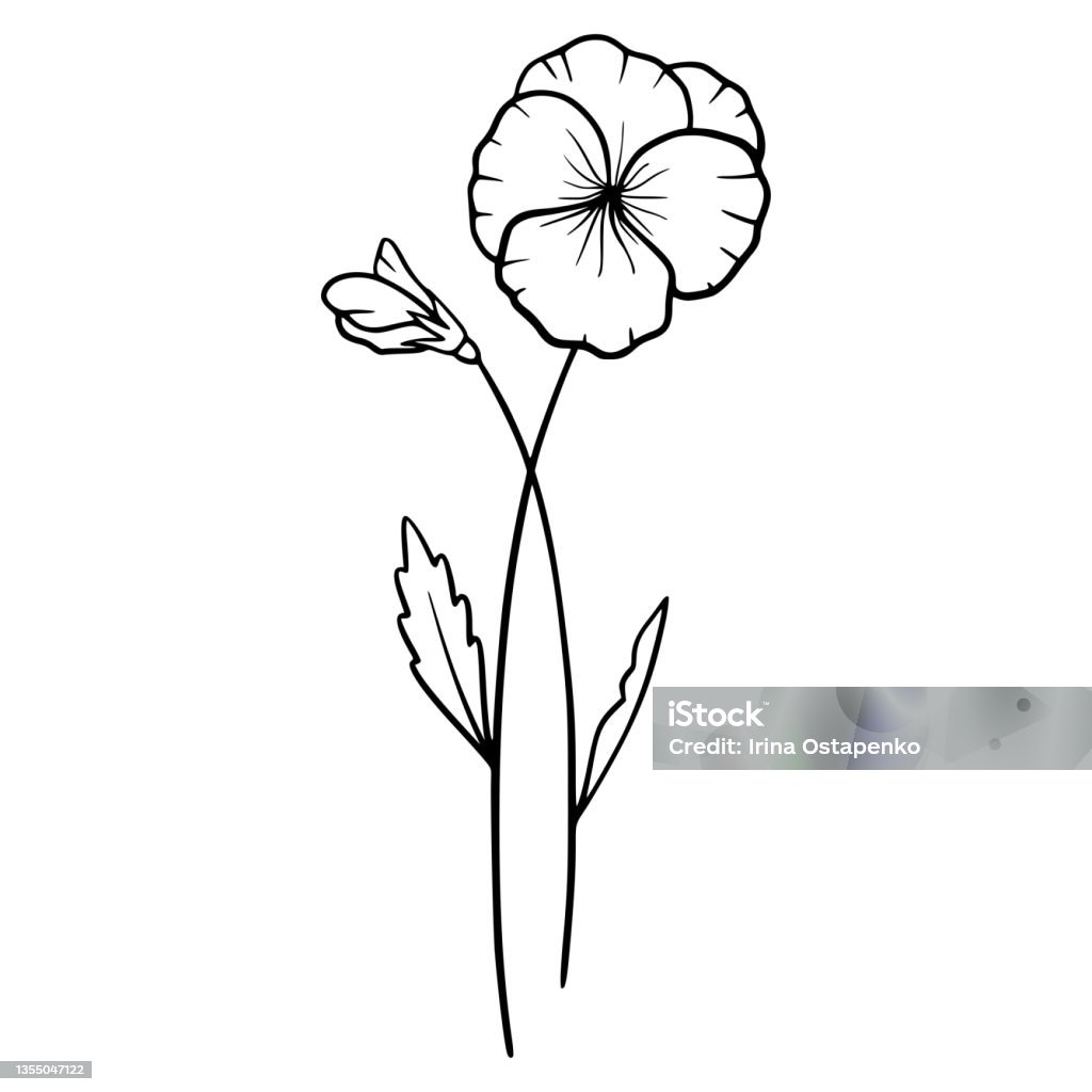白い背景に紫色の花春の紫色の花の手描きのイラスト描画線画インクベクトル ロゴマークのベクターアート素材や画像を多数ご用意 ロゴマーク