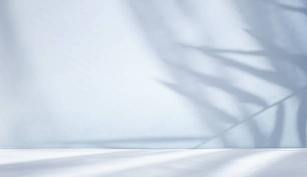 Best 500+ Shadow Pictures | Download Free Images on Unsplash