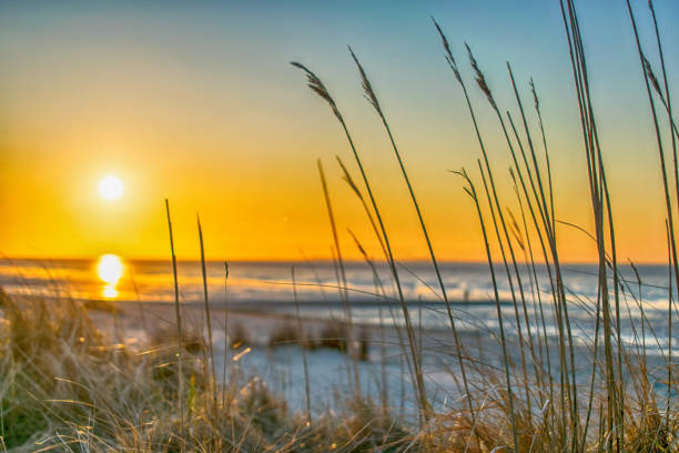 Landscape Summer Sunrise Lighting - Free photo on Pixabay