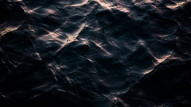 Dark River Pictures | Download Free Images on Unsplash