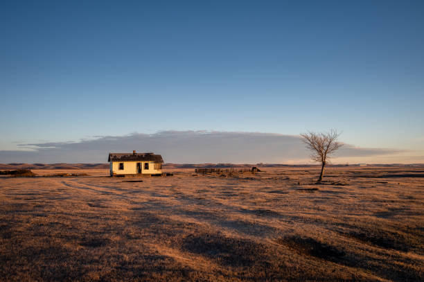 Free Stock Photo of Abandoned wooden house in desolate landscape ...