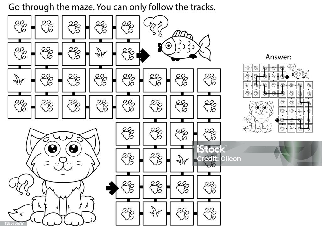 Labyrinthe Ou Jeu De Labyrinthe Puzzle Coloriage Contour Du Chat De