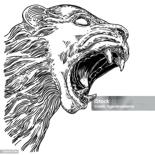 Ilustrasi Wajah Harimau Mengaum Kepala Harimau Geraman Hitam Dan Putih