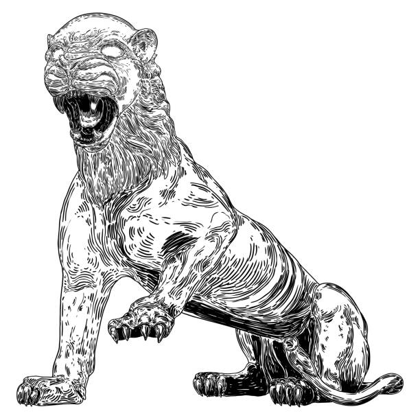 Tiger Face Growling Drawing