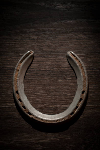 Horseshoe Pictures | Download Free Images on Unsplash