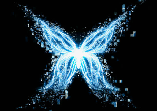 30k+ Butterfly Effect Pictures | Download Free Images on Unsplash