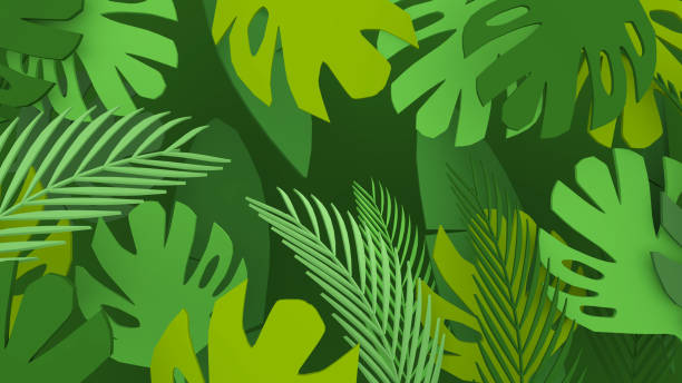 Botanica Pictures | Download Free Images on Unsplash