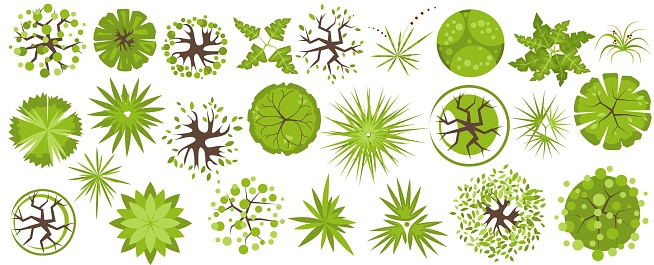 Vue De Dessus Des Arbres Et Des Plantes Pour Larchitecture Et