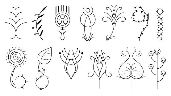 Abstrak Set Elemen Doodle Koleksi Gambar Tangan Botanic Herbal Flora Daun Cabang Tanaman Vine