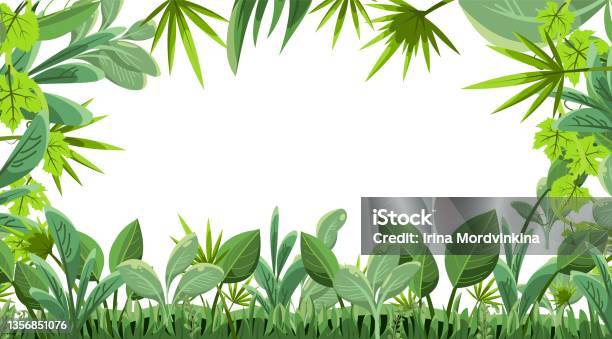 Bingkai Hutan Pohon Tropis Hijau Tumbuhan Dan Semaksemak Tutup Gaya ... Bingkai Hutan Pohon Tropis Hijau Tumbuhan Dan Semaksemak Tutup Gaya ...