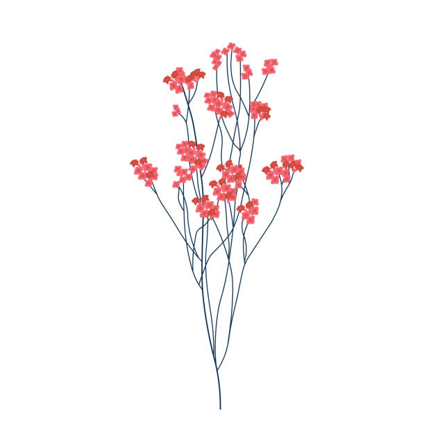 10 900 Herbarium Ilustrasi Grafik Vektor And Clip Art Bebas Royalti