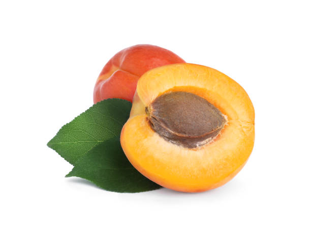 100+ Apricot Pictures | Download Free Images on Unsplash