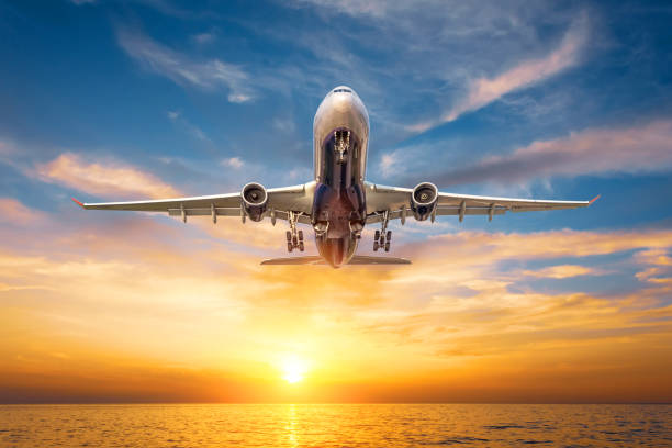 Best 500+ Plane Pictures [HQ] | Download Free Images on Unsplash
