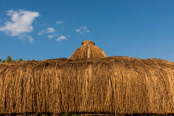 Free Stock Photo of Large Pile of Straw on Beach | Download Free Images ...