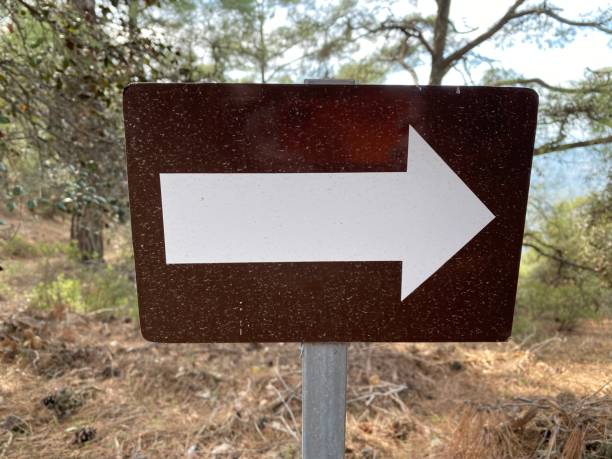 Free picture: Arrow right sign pointing on adventure park