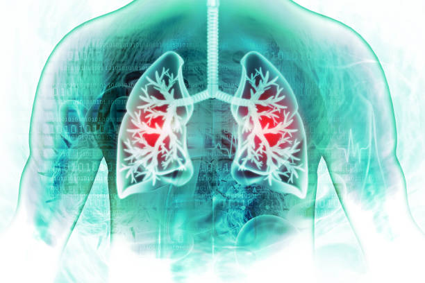 Pulmonology Pictures | Download Free Images on Unsplash