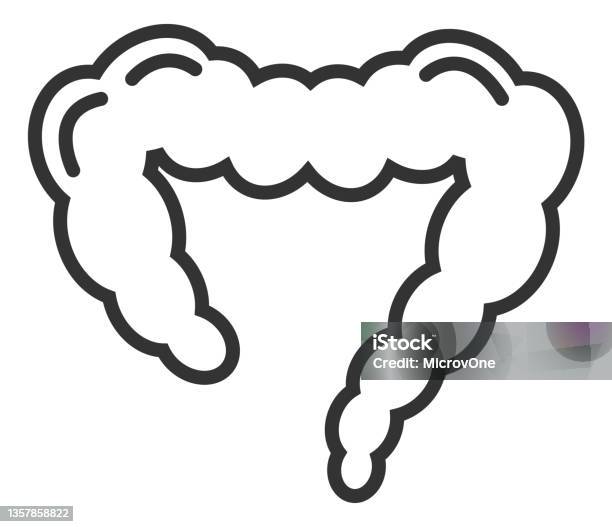 Icône De Lintestin Symbole De Lintestin Signe Intestinal Deuxpoints