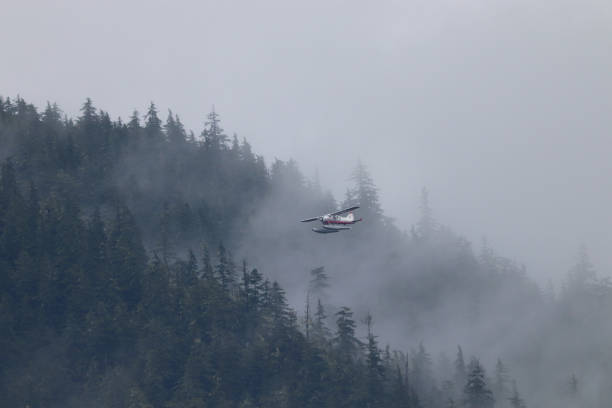 Free Stock Photo of Small Plane Flying Over Dense Forest | Download ...