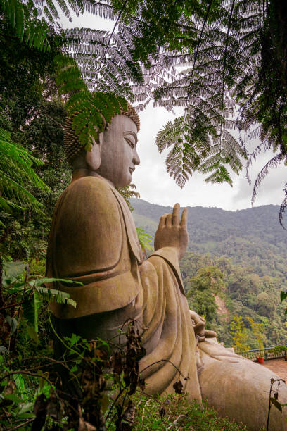 Budhha Pictures | Download Free Images on Unsplash