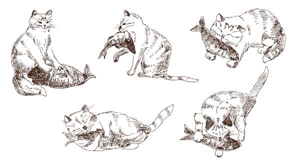 Cats Mating Drawing