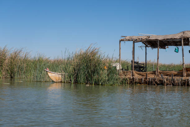 Basra Pictures | Download Free Images on Unsplash