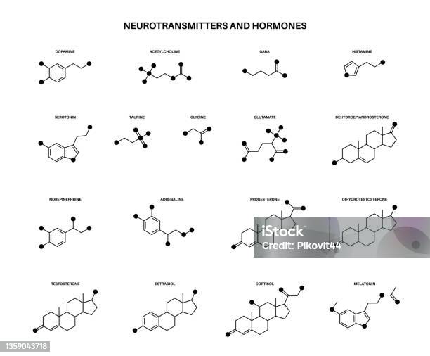 Hormones And Neurotransmitters Stock Illustration - Download Image Now ... Hormones And Neurotransmitters Stock Illustration - Download Image Now ...