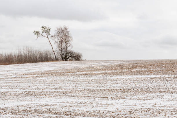 Minimal Landscape Pictures | Download Free Images on Unsplash