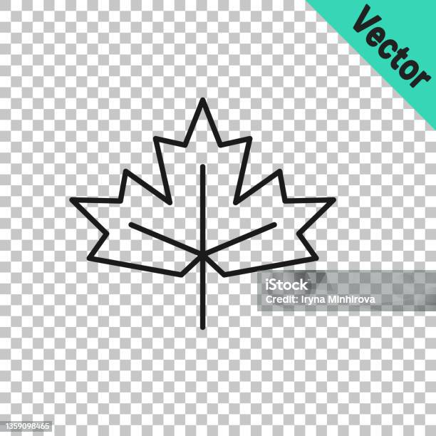 Icône De Feuille Dérable Canadienne À Ligne Noire Isolée Sur Fond